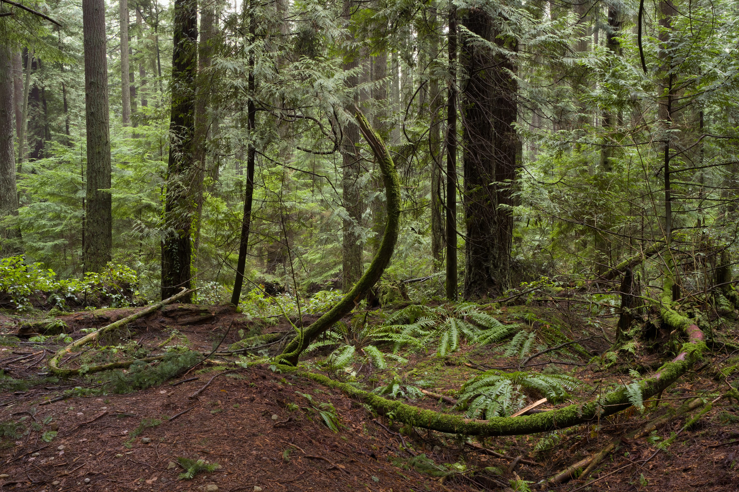 Jackson Pollock, Sand and Pixels - Jim Roche On Photography