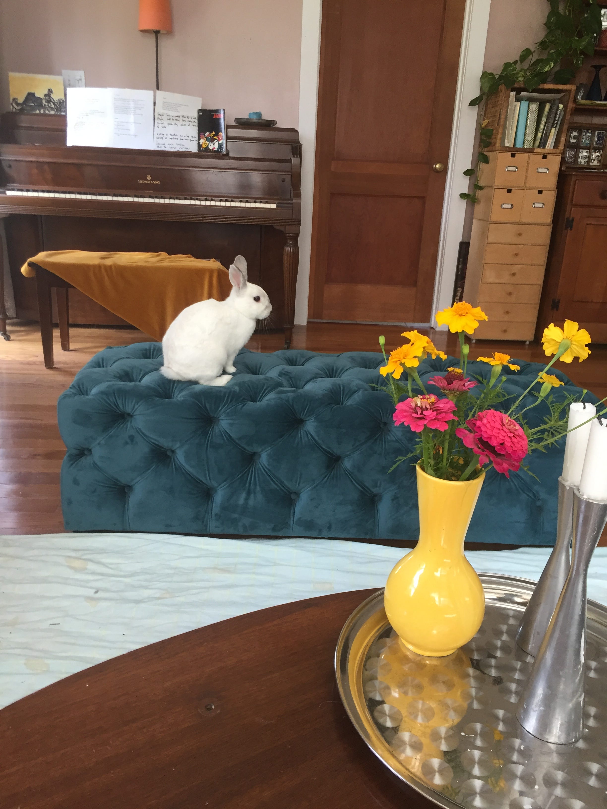 I bit off more than they could chew! - by Bibi Farber