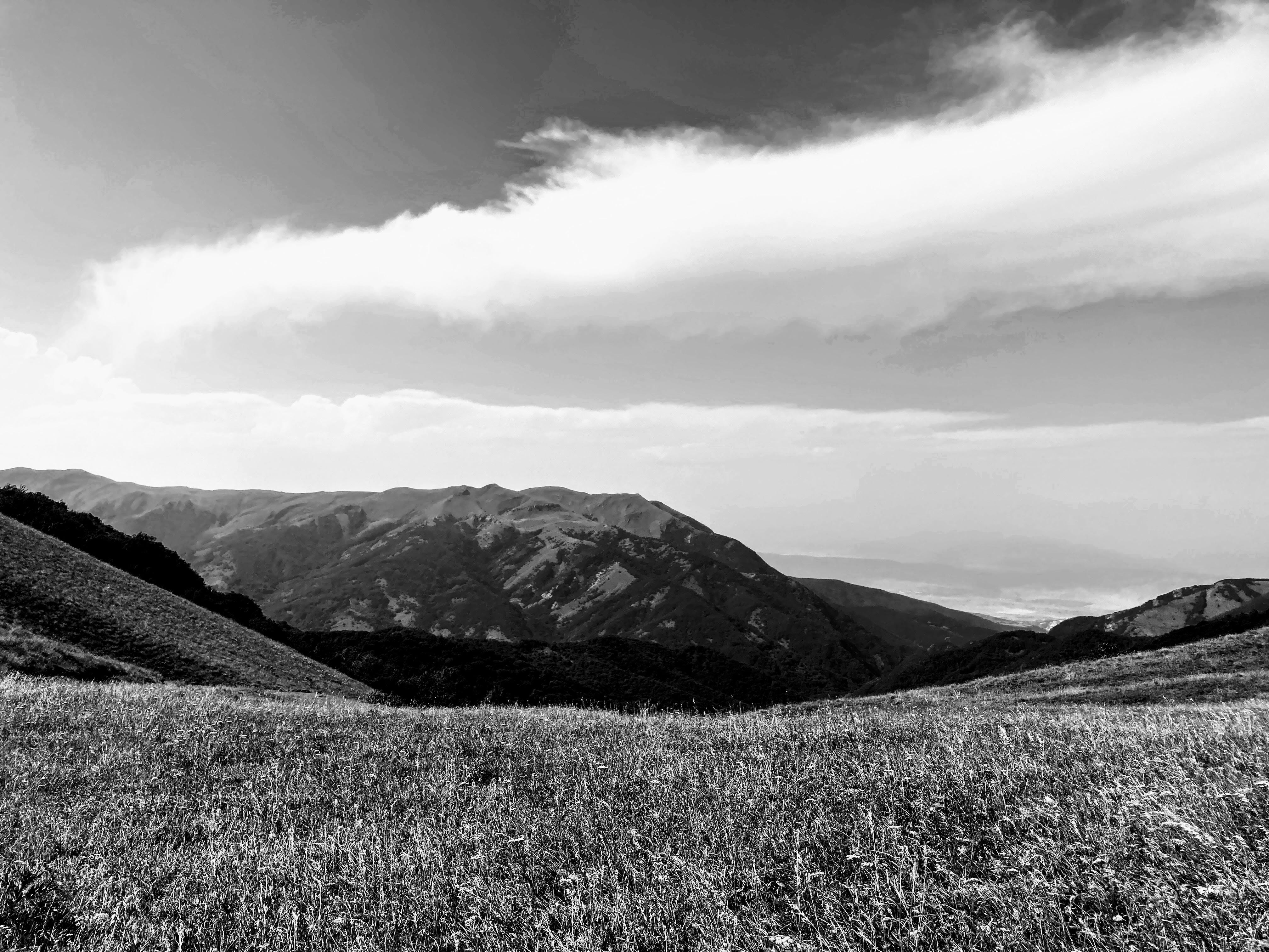 Algeti Valley - by Sarah Cowles - Ruderal - Ruderal