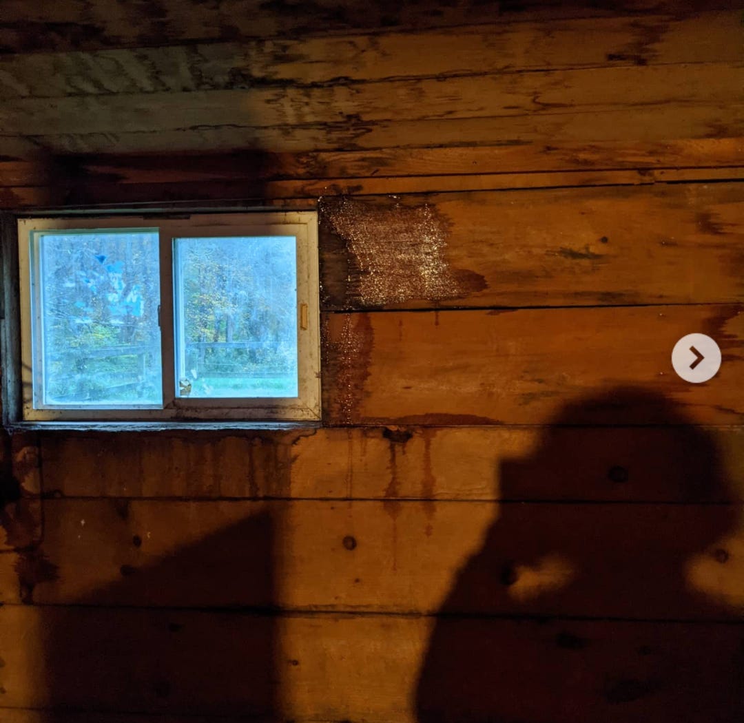 Nebula, Federico Balducci and Hissquiet and Noa Jacques and Matt Luczak ...