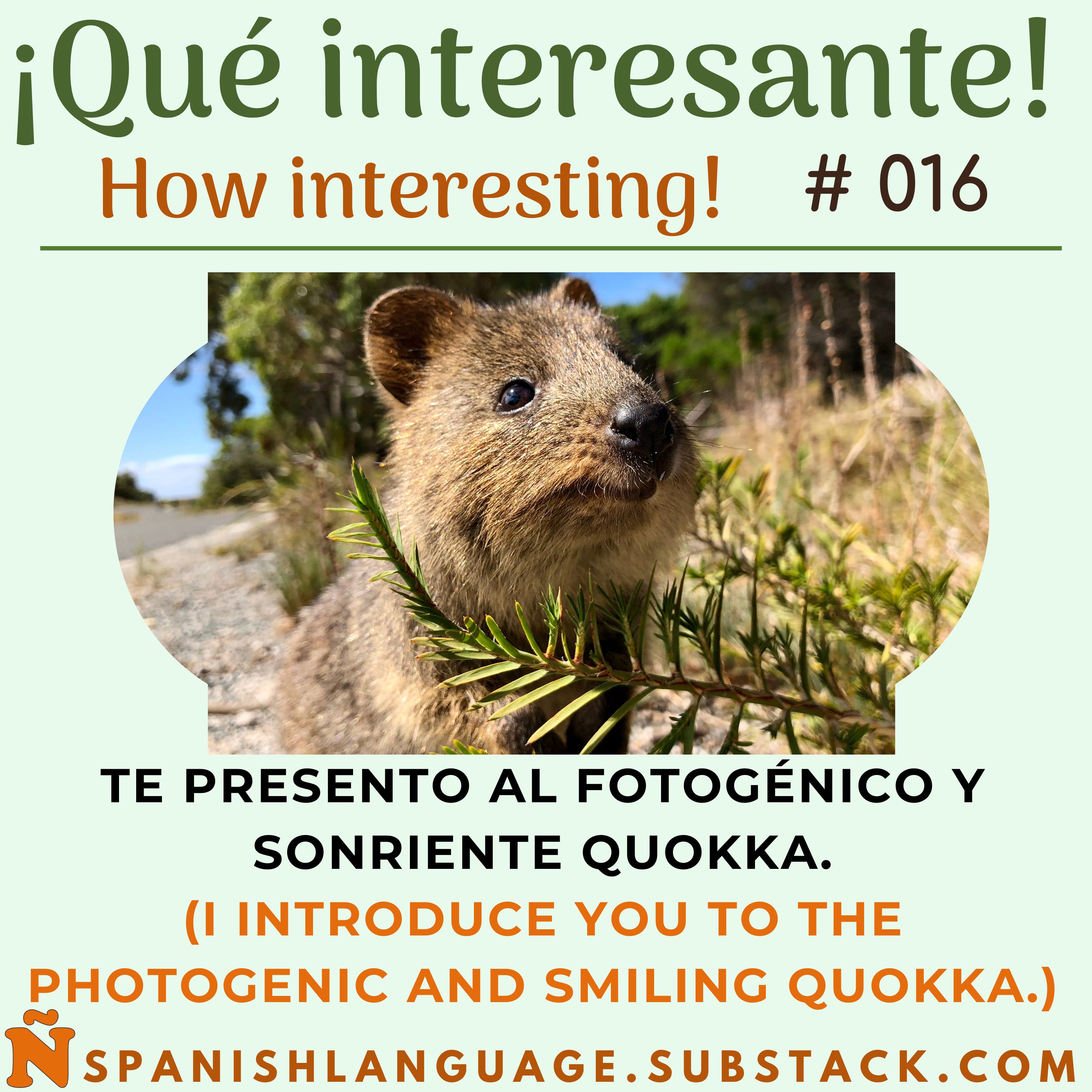 ¡Qué interesante! (How interesting!) #016