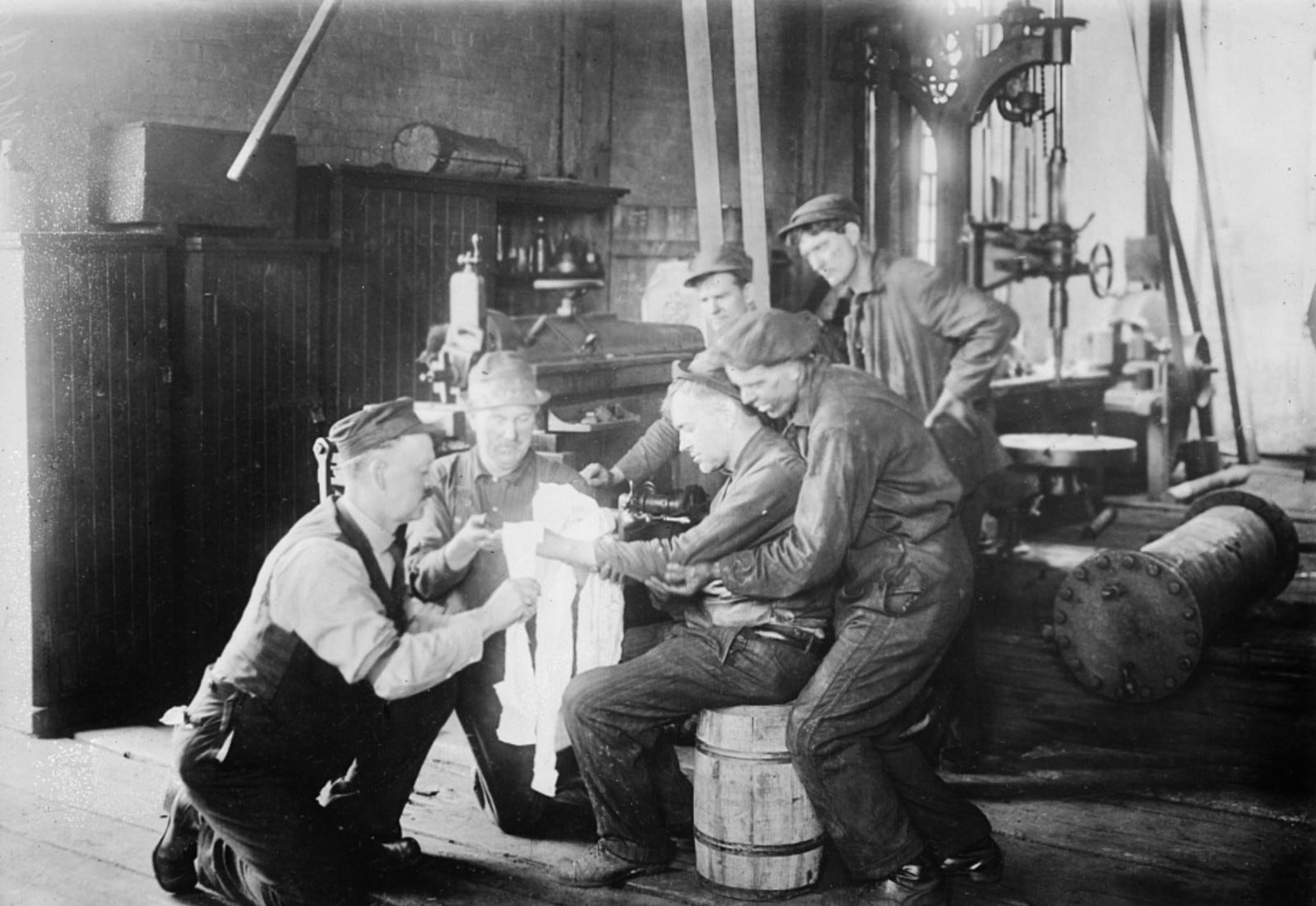 Springbok, The Show-Off Of The Savanna