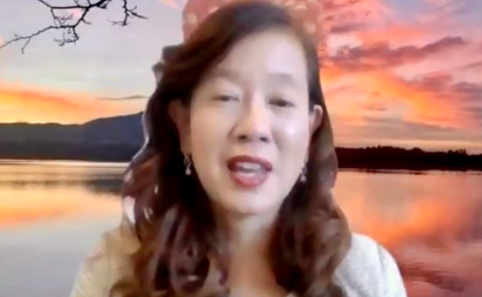 Lily Mei named in wrongful death lawsuit filed by family of Fremont ...