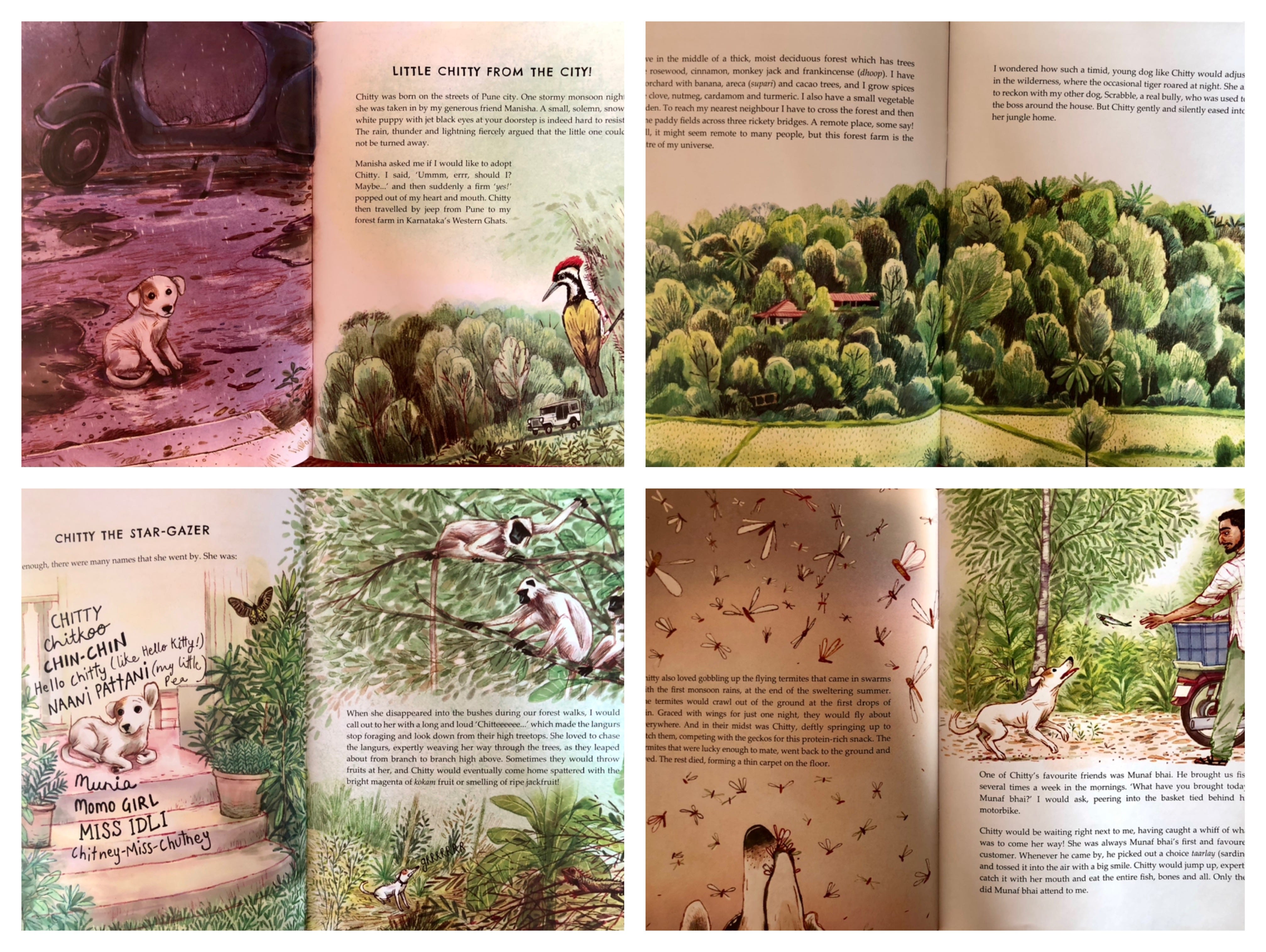 Chitty: A Dog and her Forest Farm - by Roopa Baliga