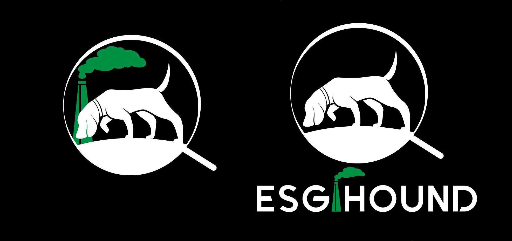 The Journey Ahead - by Eric Roesch - ESG Hound