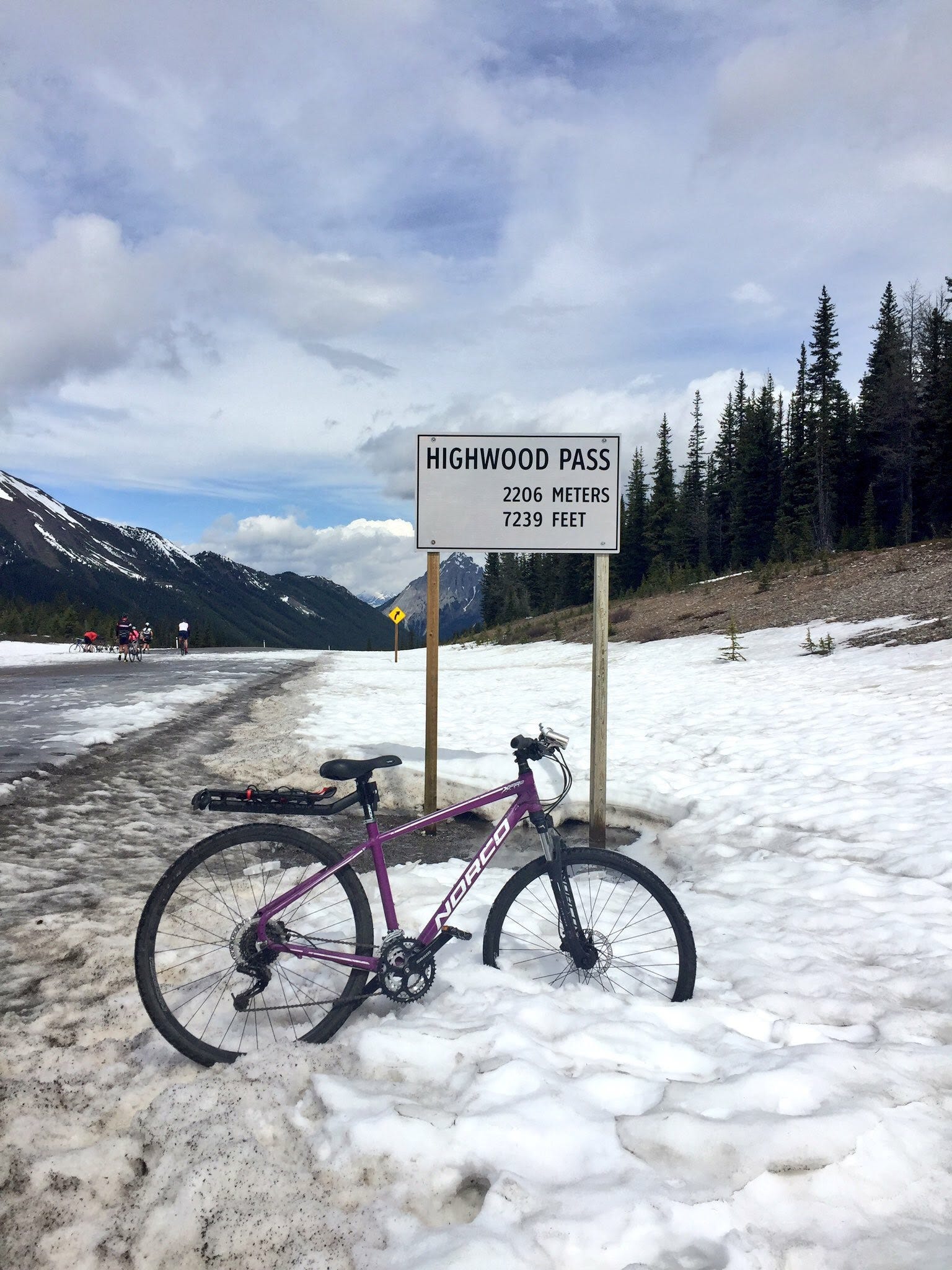 Go Outside: The Yikes Bikes edition!