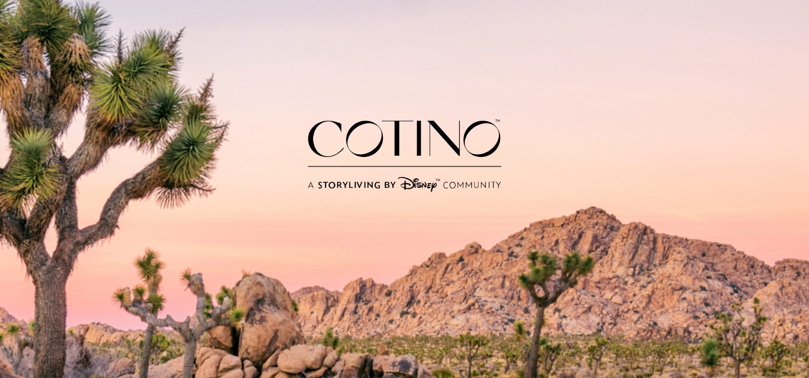 Disney in the Desert - by Justin Potts - Linear Magazine