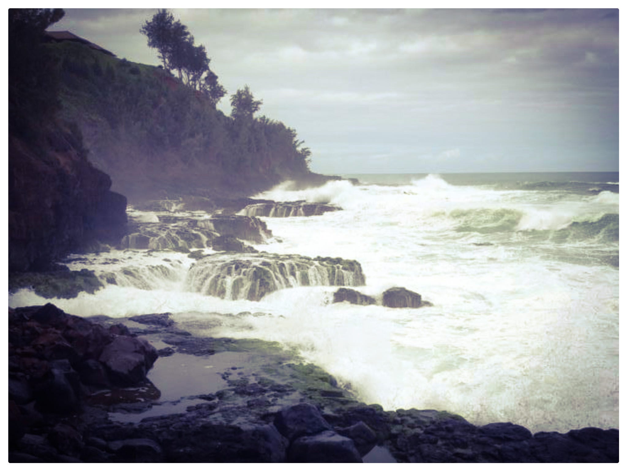 Bonus Life - by Hal Walker - Living in a Body