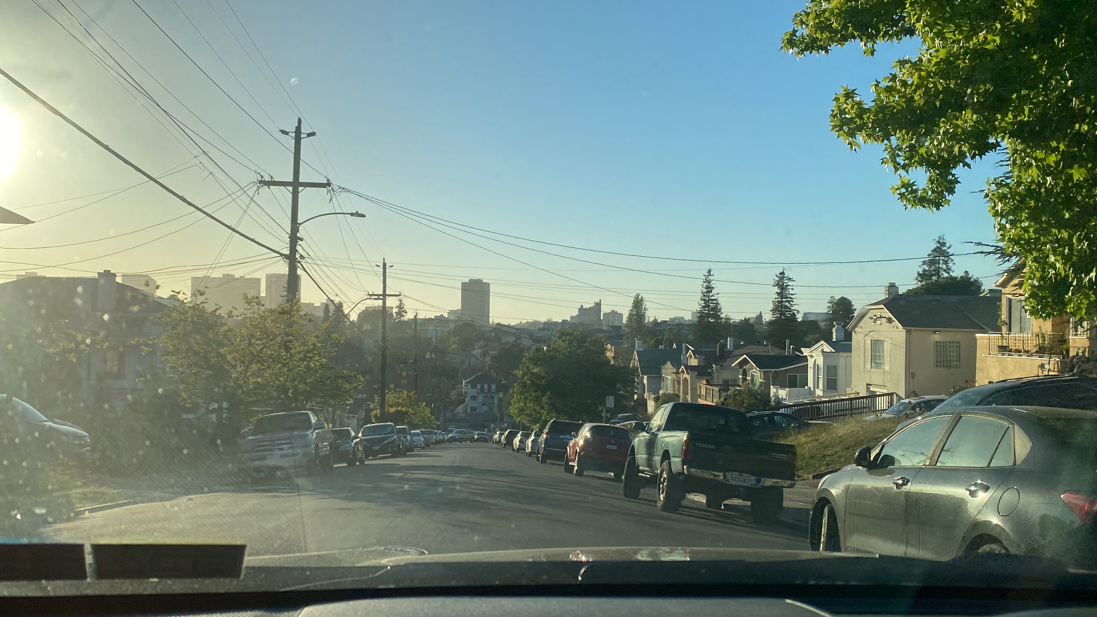 The Thing About Certainty - by Nina Solis - Gentle Observer