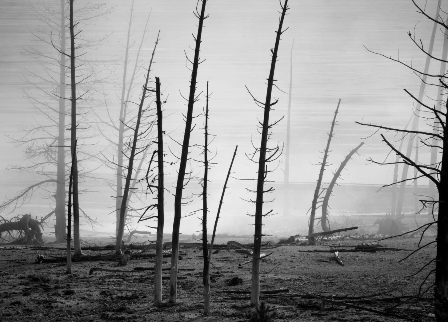 143. Pierwsze biada - by Piotr Hoffmann - Apokalipsa