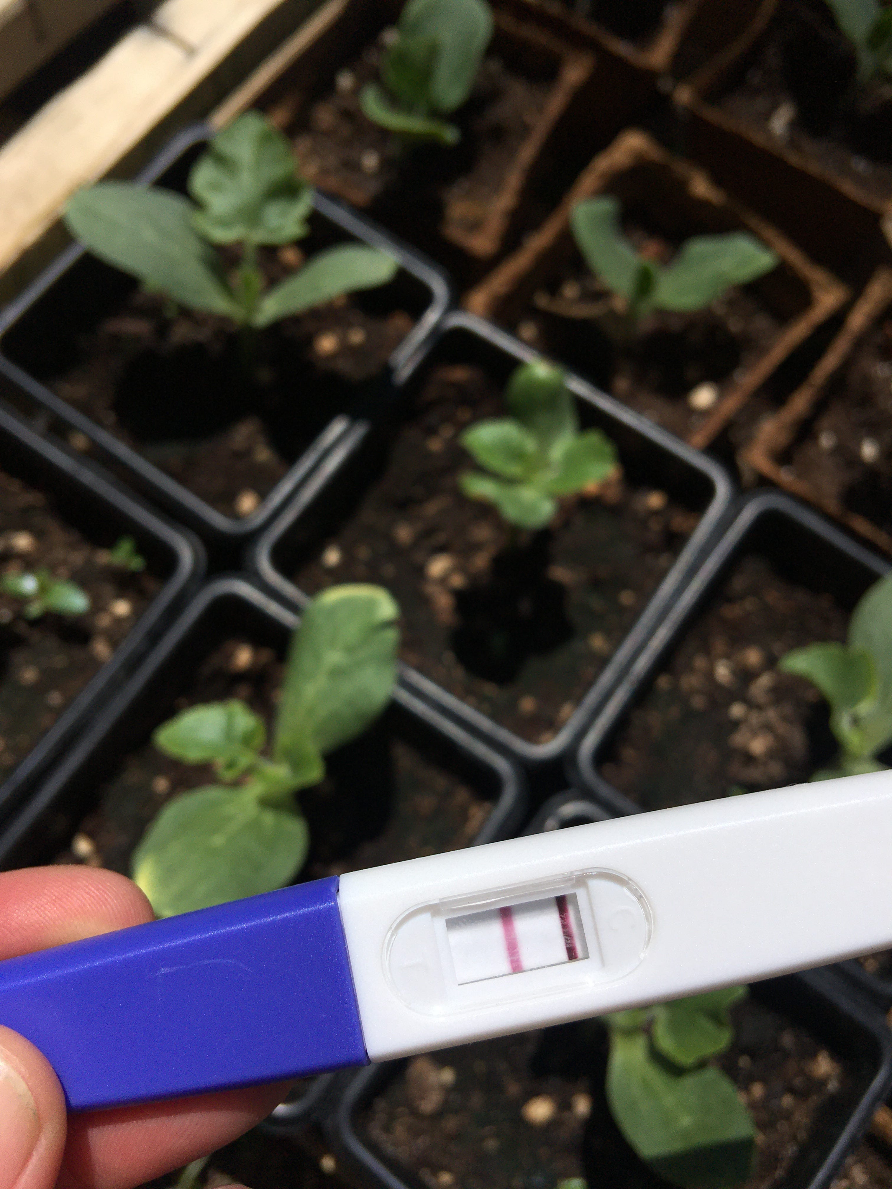 Re-framing miscarriage and abortion