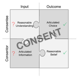 Consent models are like noses...