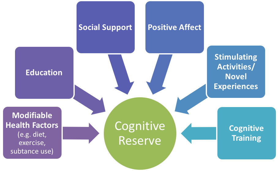 Meditation’s Impact on Cognitive Reserve - by Nick Rizk