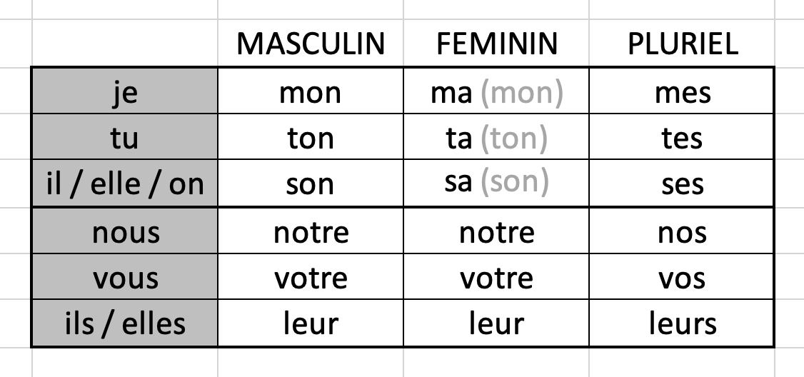 Leçon 3: les adjectifs possessifs et la négation