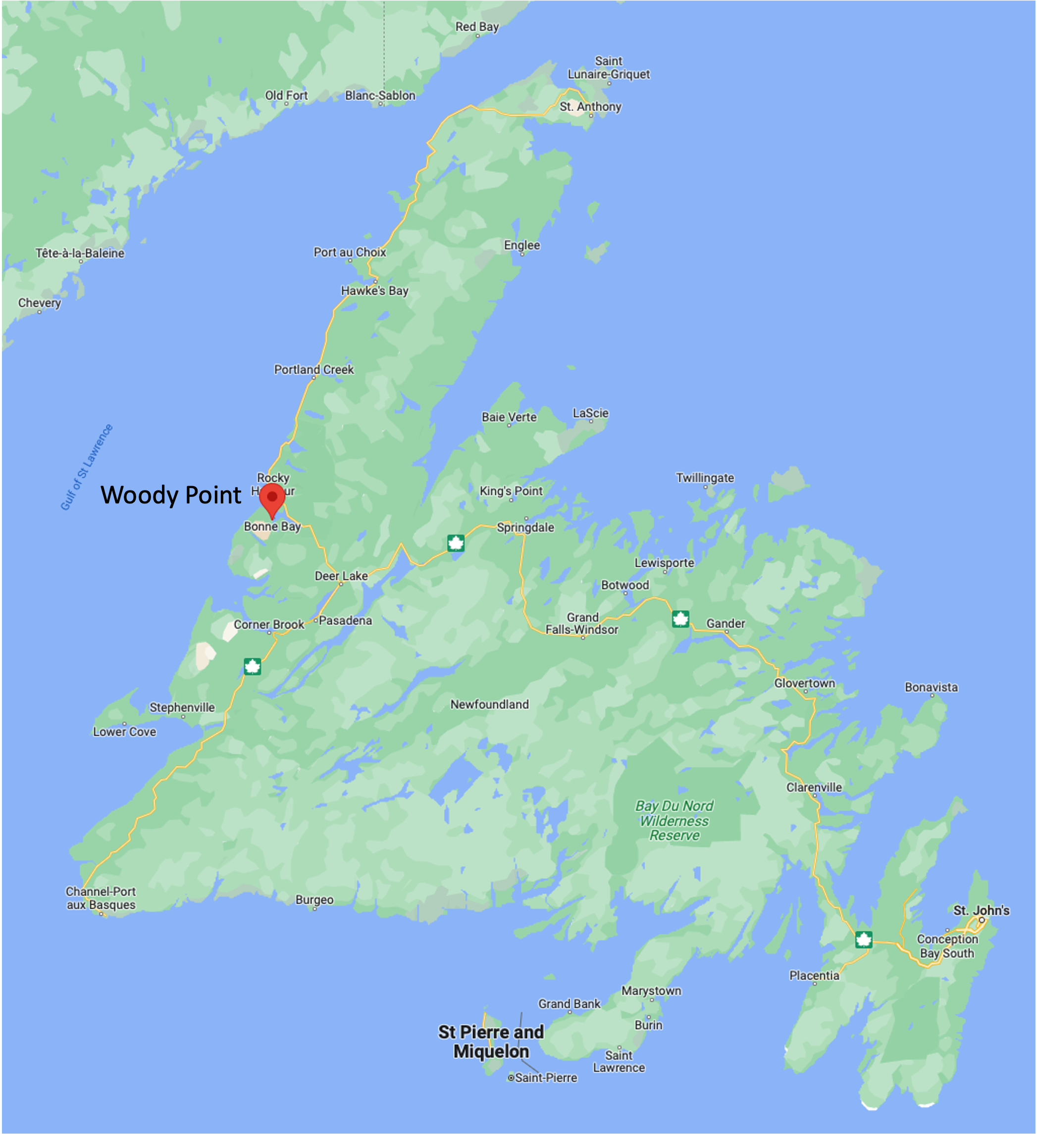 Writers at Woody Point, Newfoundland