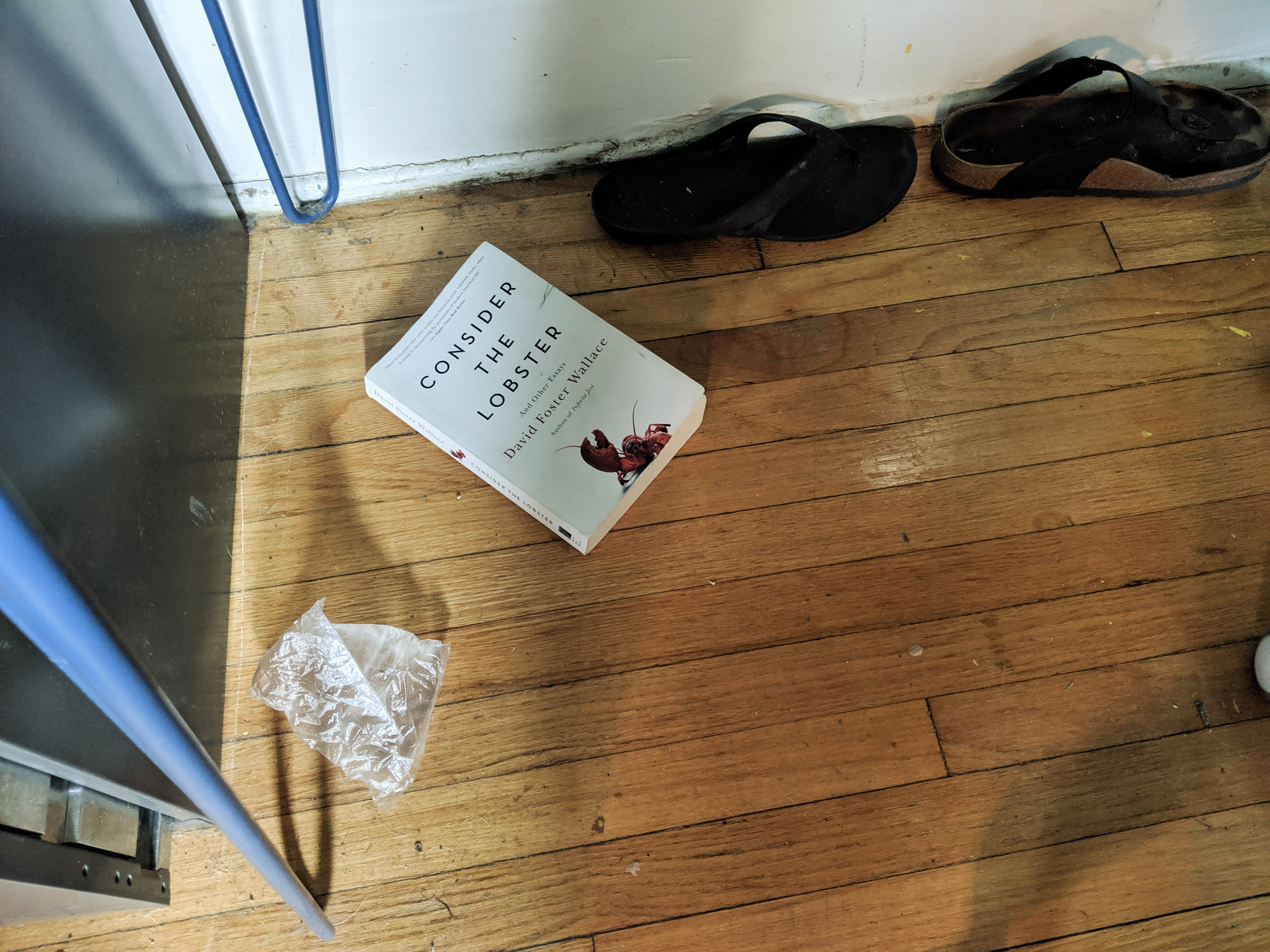 Sincerity Poisoning - by Kat Eschner - The Quick Fox