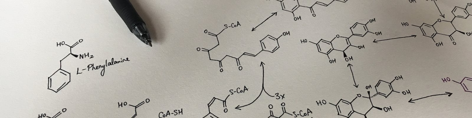 Syntax, Systems, & Science - by Chelsea Sierra Voss
