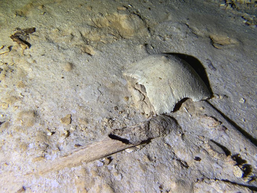 Cave Divers Near Tulum Find An 8,000-year-old Human Remains