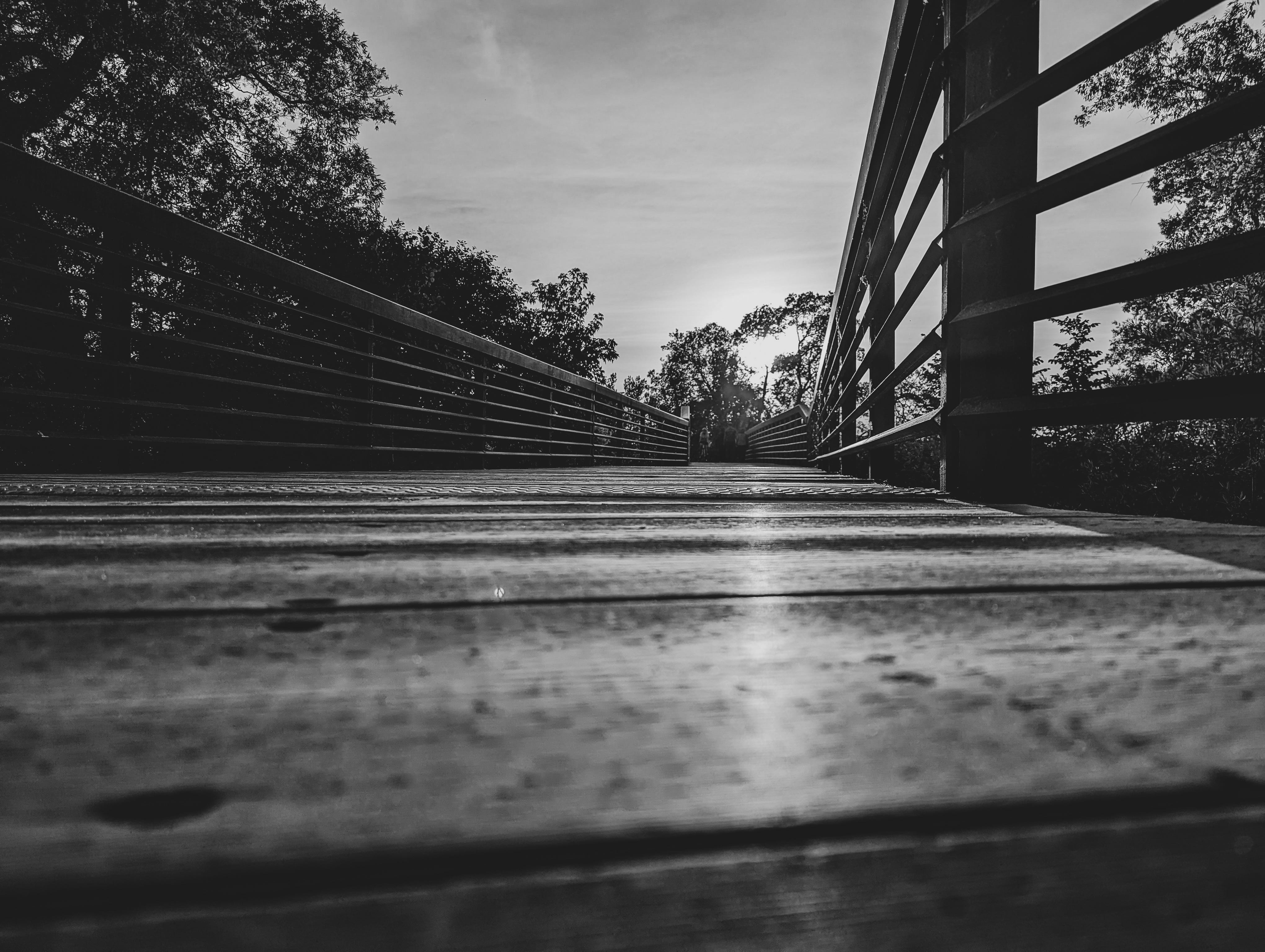 A Sun-Soaked Afternoon Hike on the Ajax Waterfront Trail (A Part of the ...