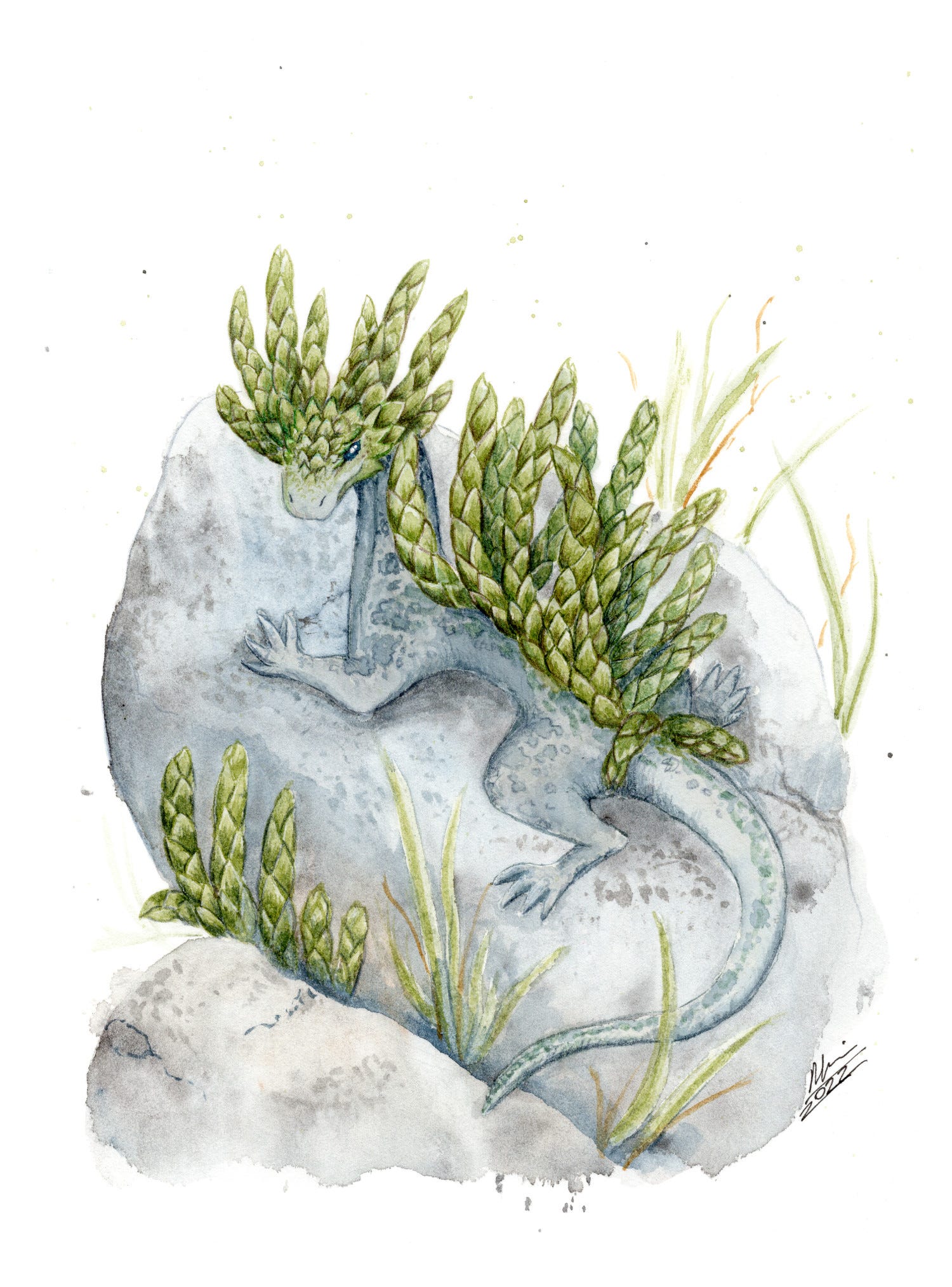The Alpine Clubmoss Dragon - by Giddy Minnow