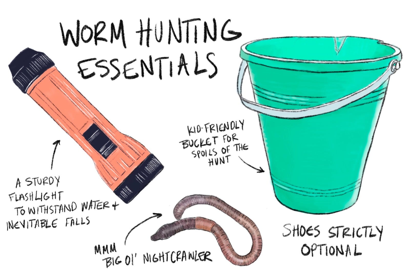 hunting for nightcrawlers - by DJ May - the watering can