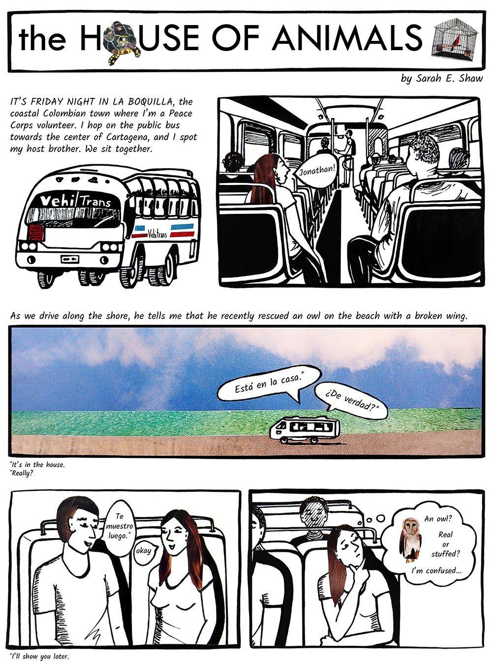 An Interview with Sarah Shaw - by Amaris Ketcham