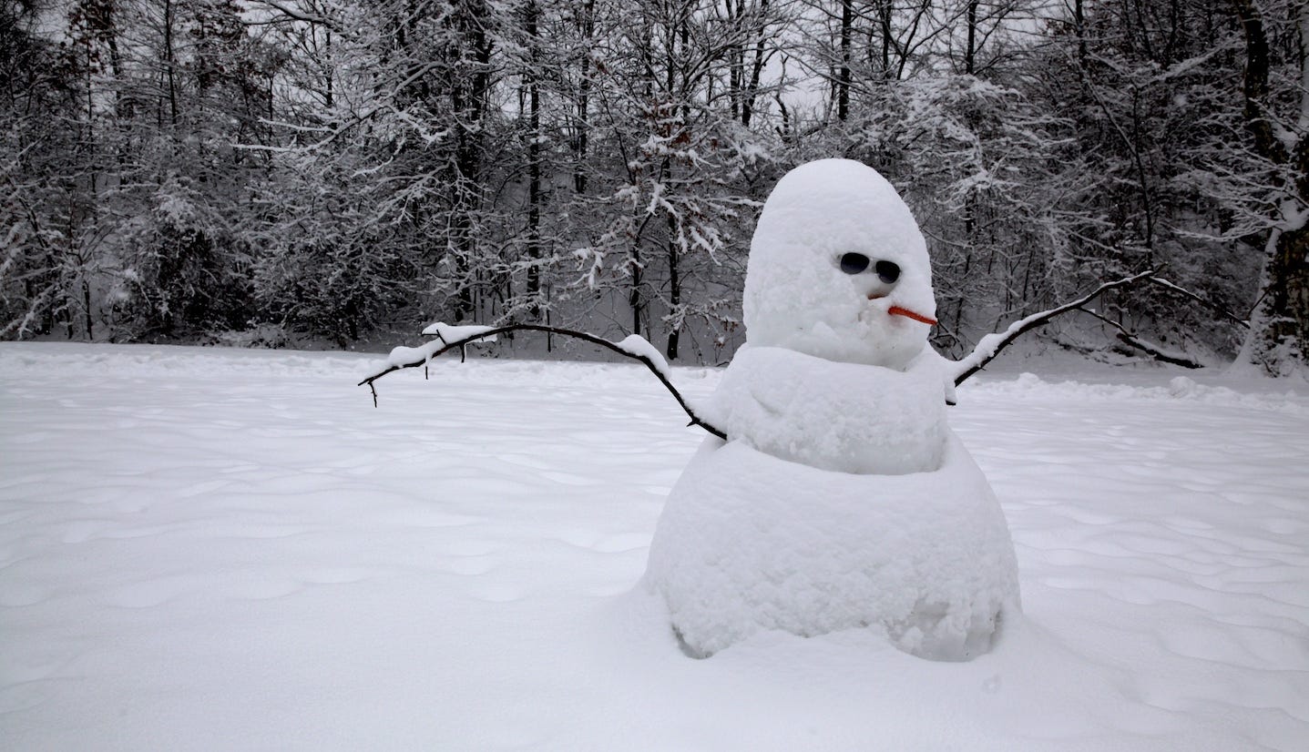 An Op-Ed by Parson Brown: The Constant Comparison to a Snowman is ...