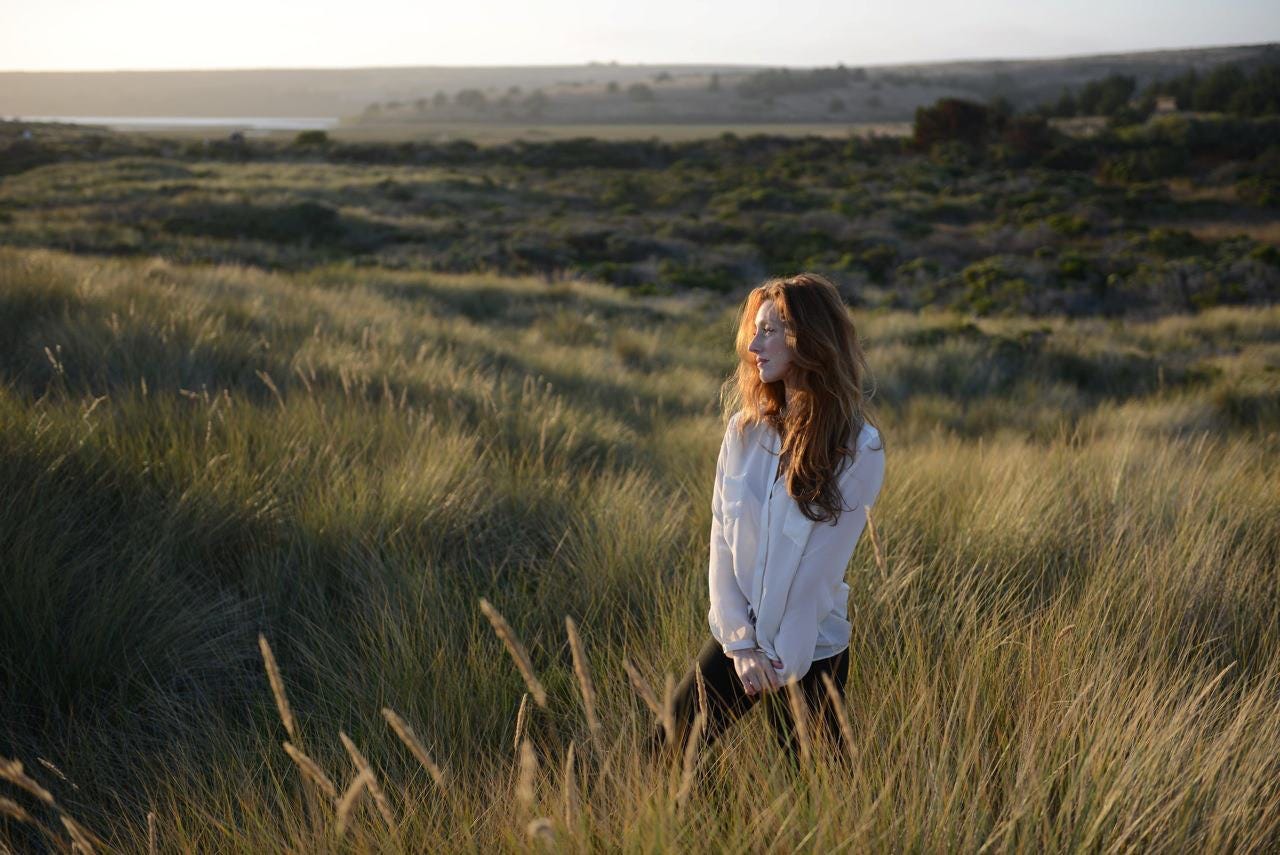 Essay Camp: A May Write-Along - by Summer Brennan