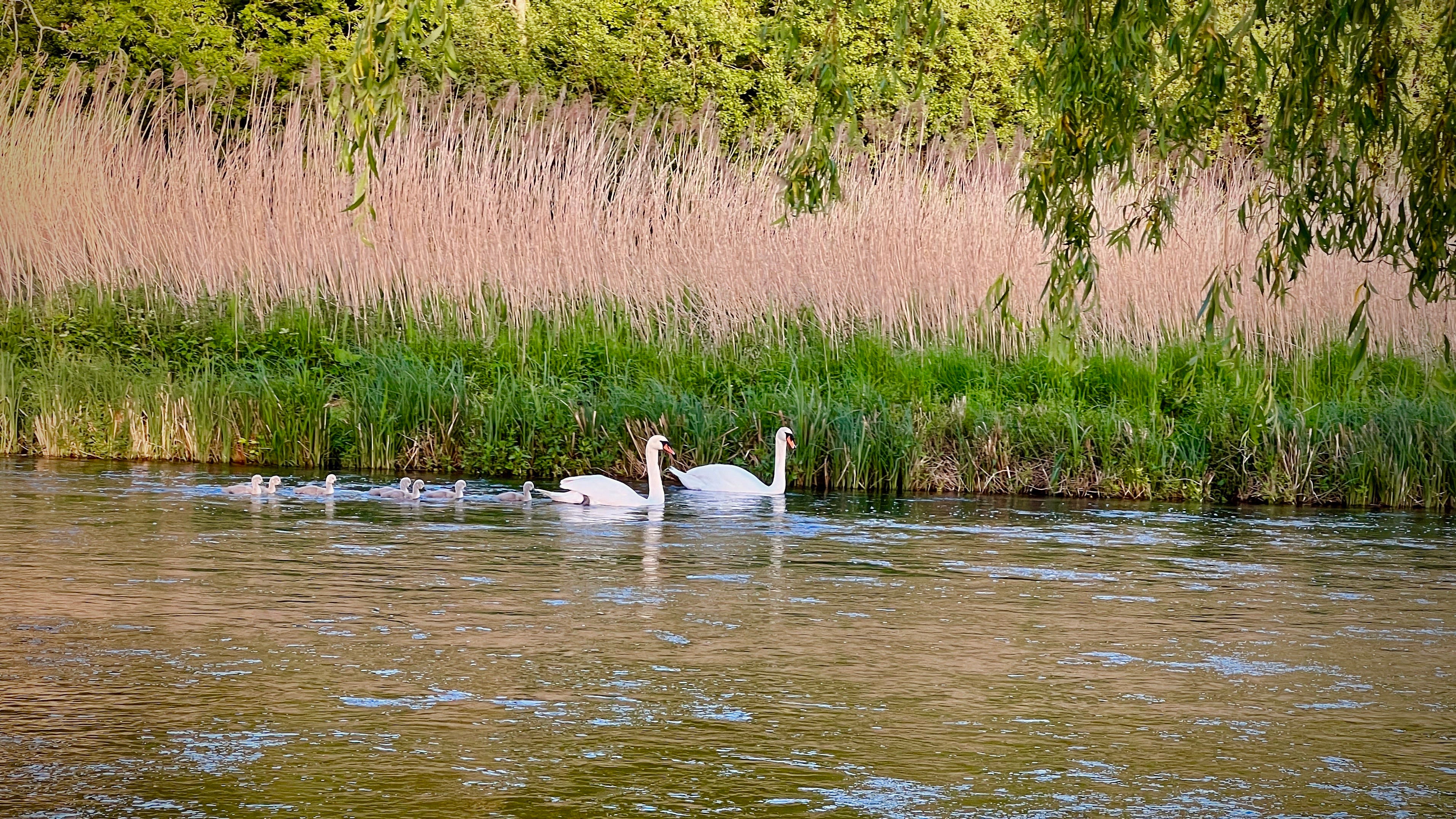 How to find your unique poetic voice - by David Dayson