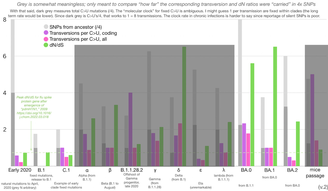 The (2020) Variants: Not Guilty - by Brian Mowrey