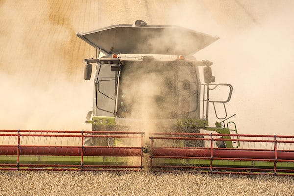 Could growing wheat blends increase yields and cut disease control costs?