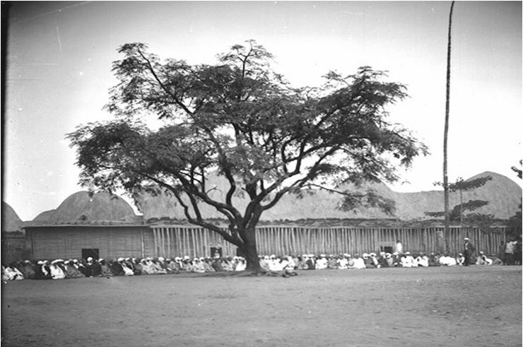 The creation of an African lingua franca: the Hausa trading diaspora in ...