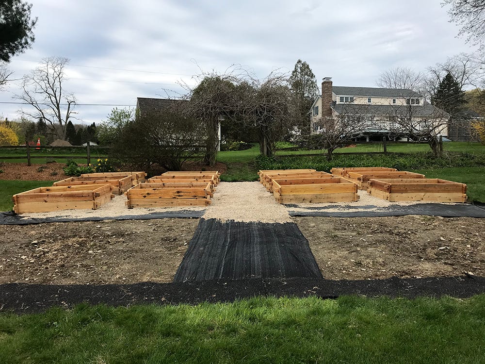 The Sad Garden, Part 2 - by J. M. Elliott - Glenshee