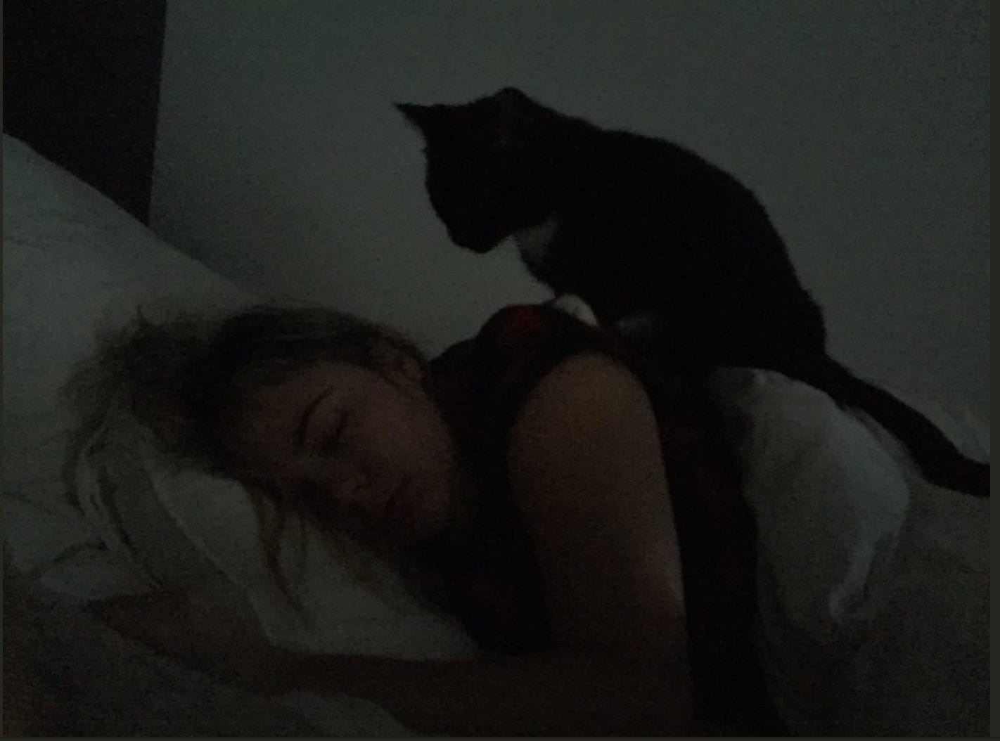 newly sober | Paulina Pinsky | Substack