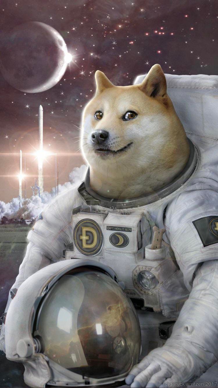 Every DOGE Has Its Day - Doomberg