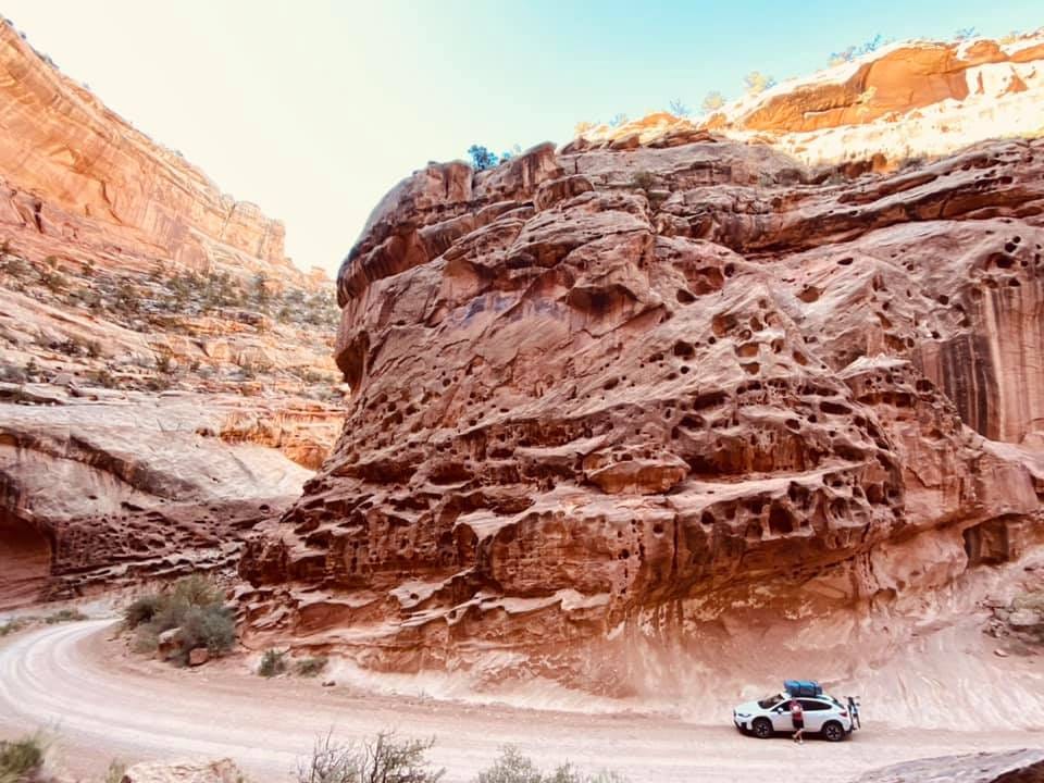 Mountain of Life: - by Kyle - Professionally Wandering