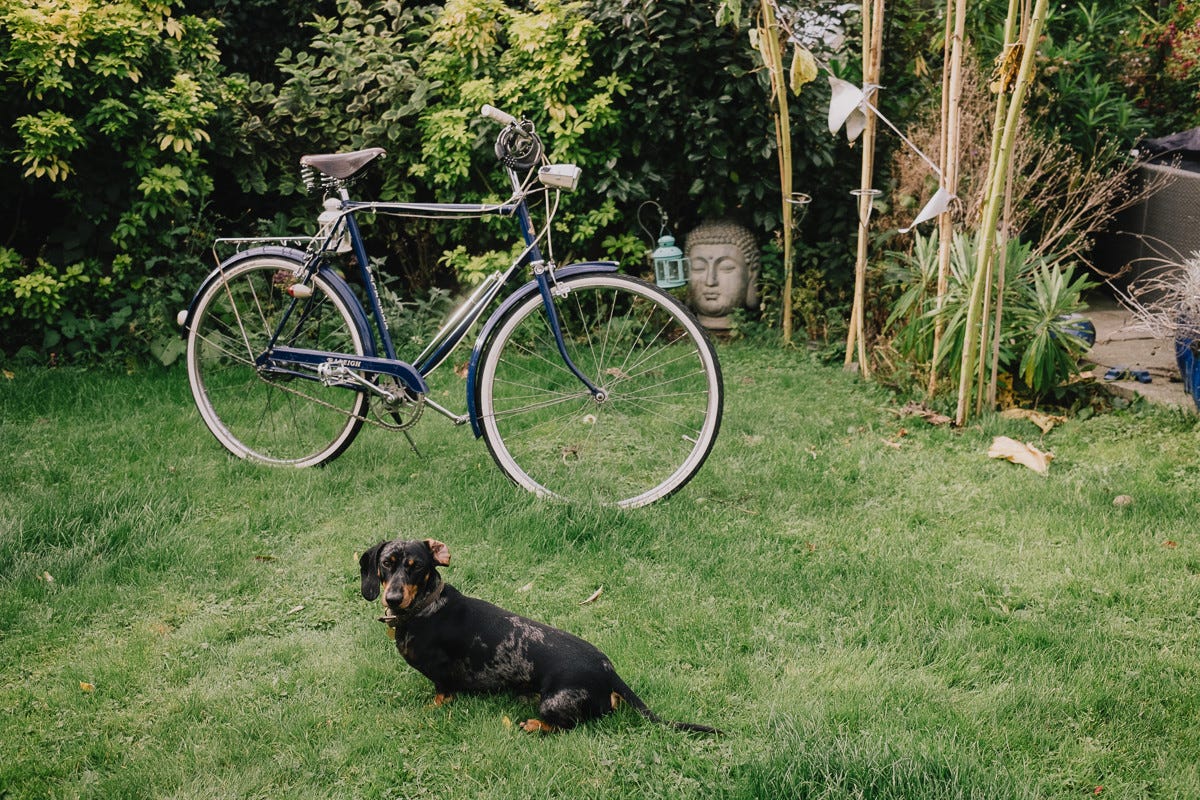 2021 - A Year In Review - by Matthew Martin - Endless Proof