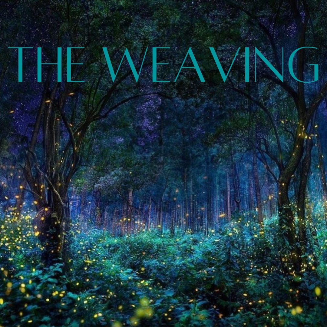 THE BRILLIANT FOOL - by Binyamina Aisha