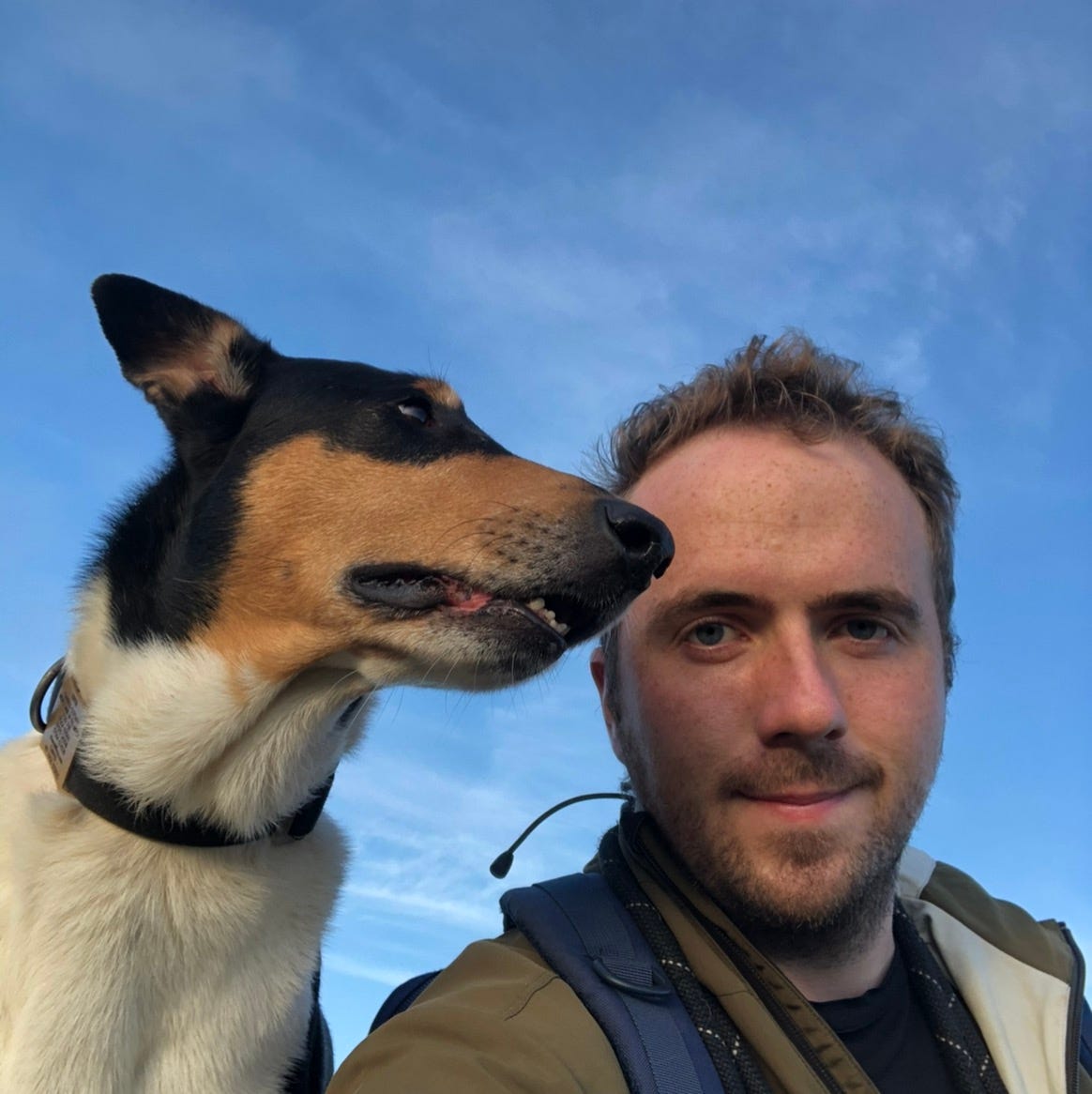 William Cherrett | Substack