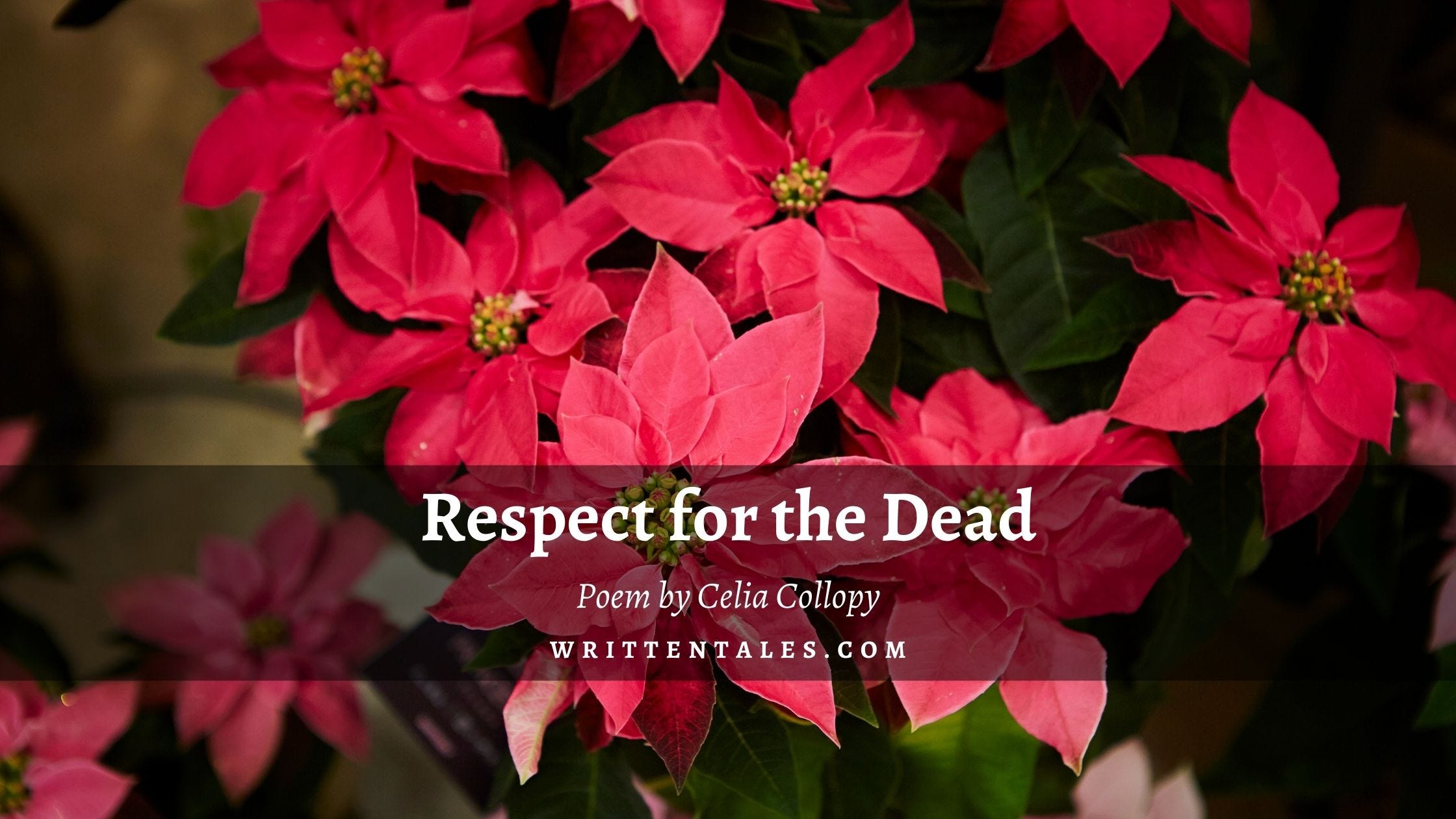 A Eulogy in Verse: Unveiling 'Respect for the Dead' by Celia Collopy ...