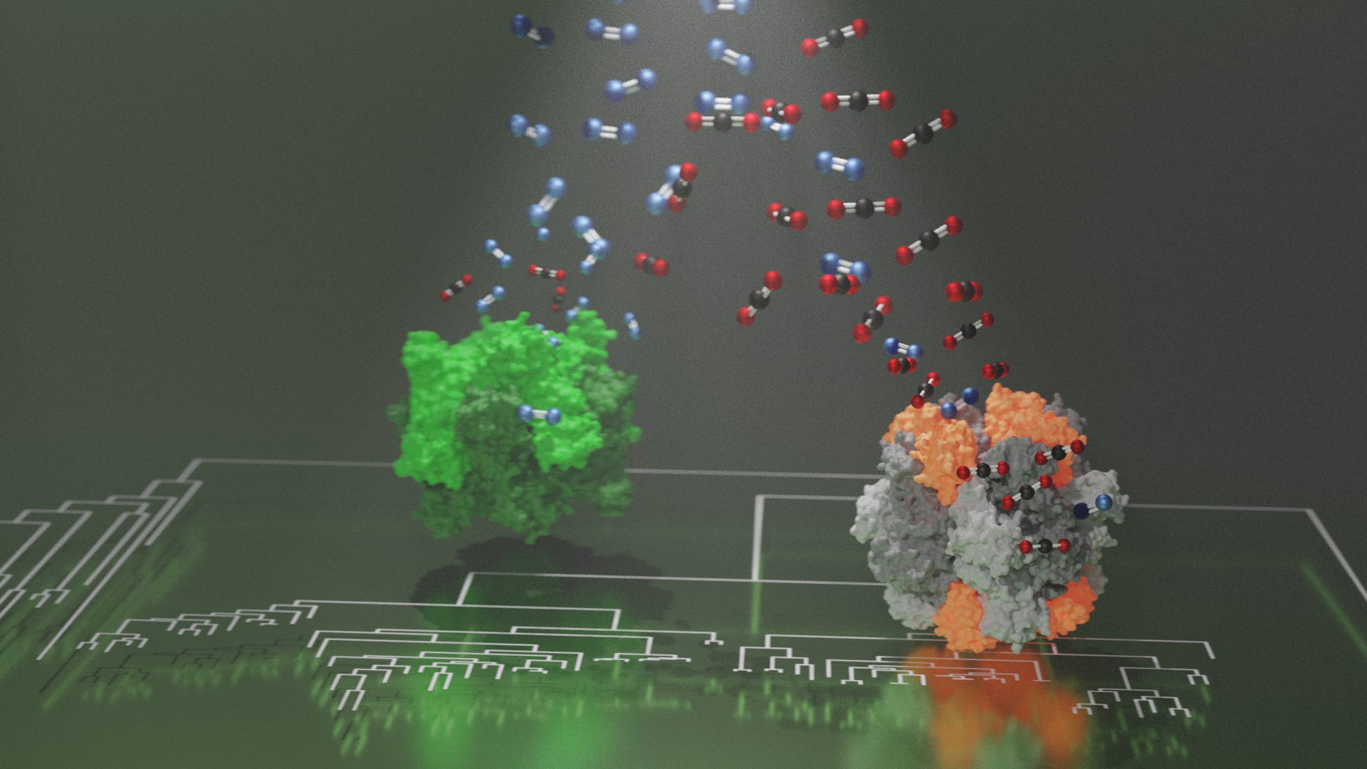 Resurrecting Ancient Rubiscos: Index #71 - by Niko McCarty
