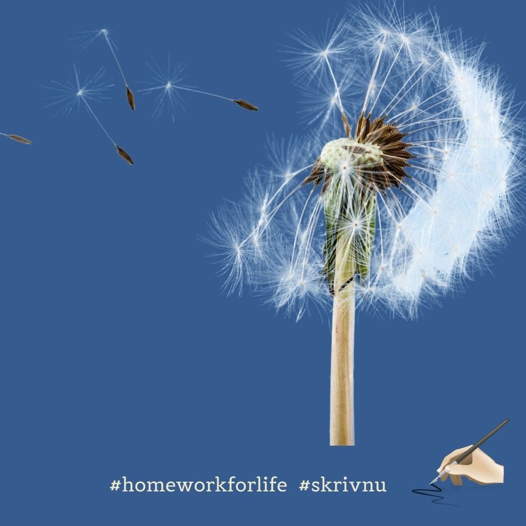 'Homework for life ' - by Mette Weber