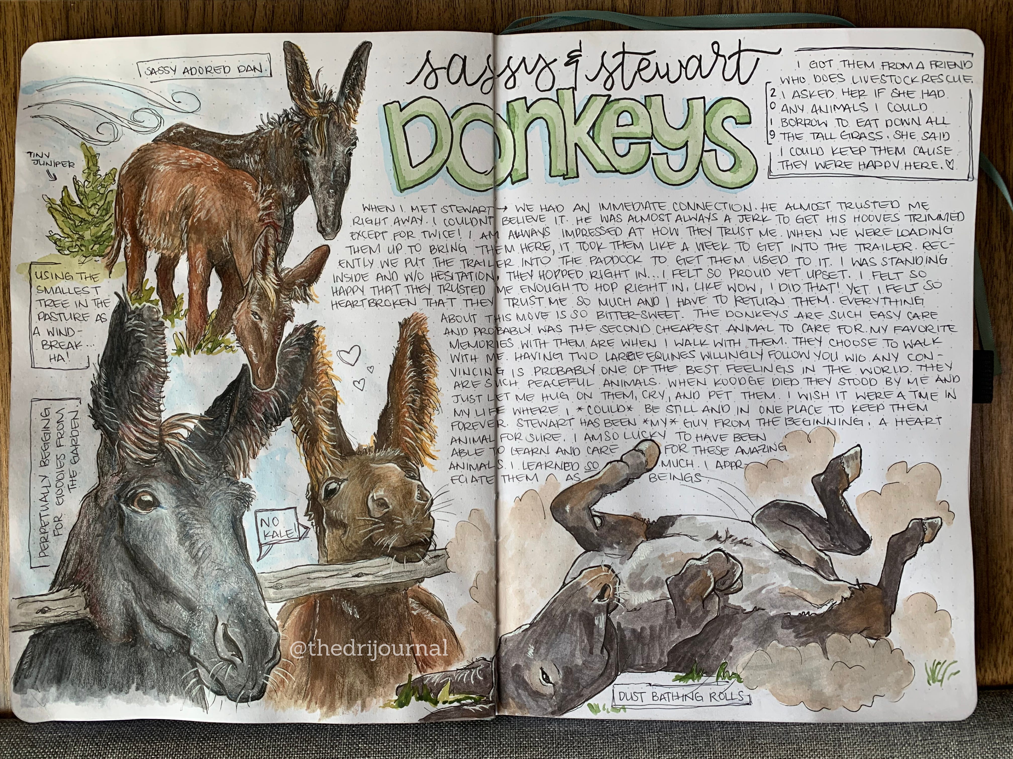 Getting Started: Watercolor - Paper & Journals