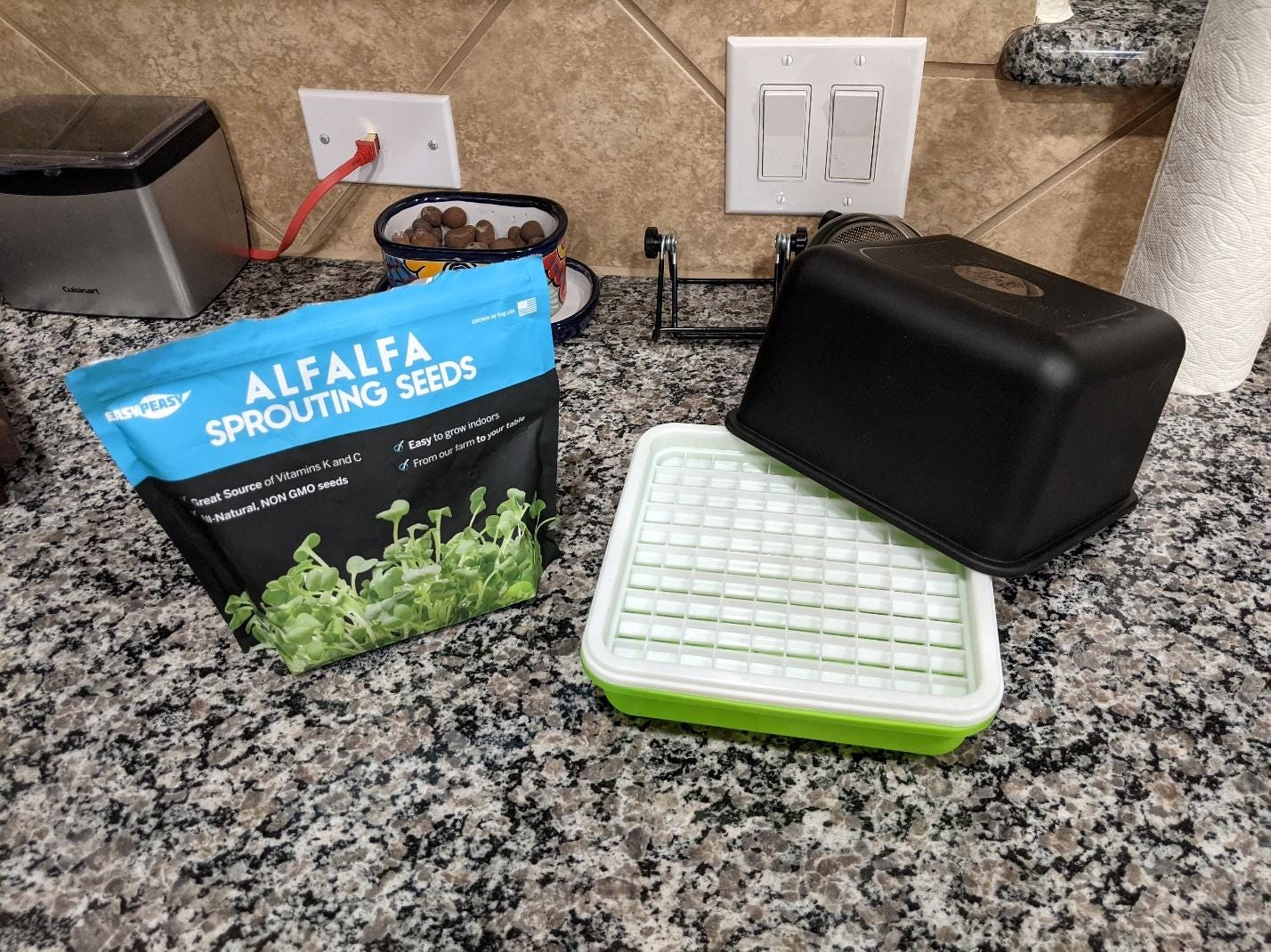 DIY Microgreens - by Mathew Crawford