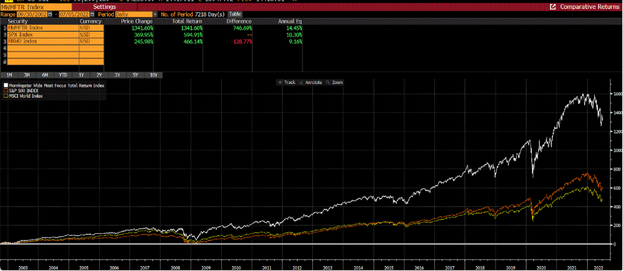 Wide Moat Investing: The Morningstar Framework Guide