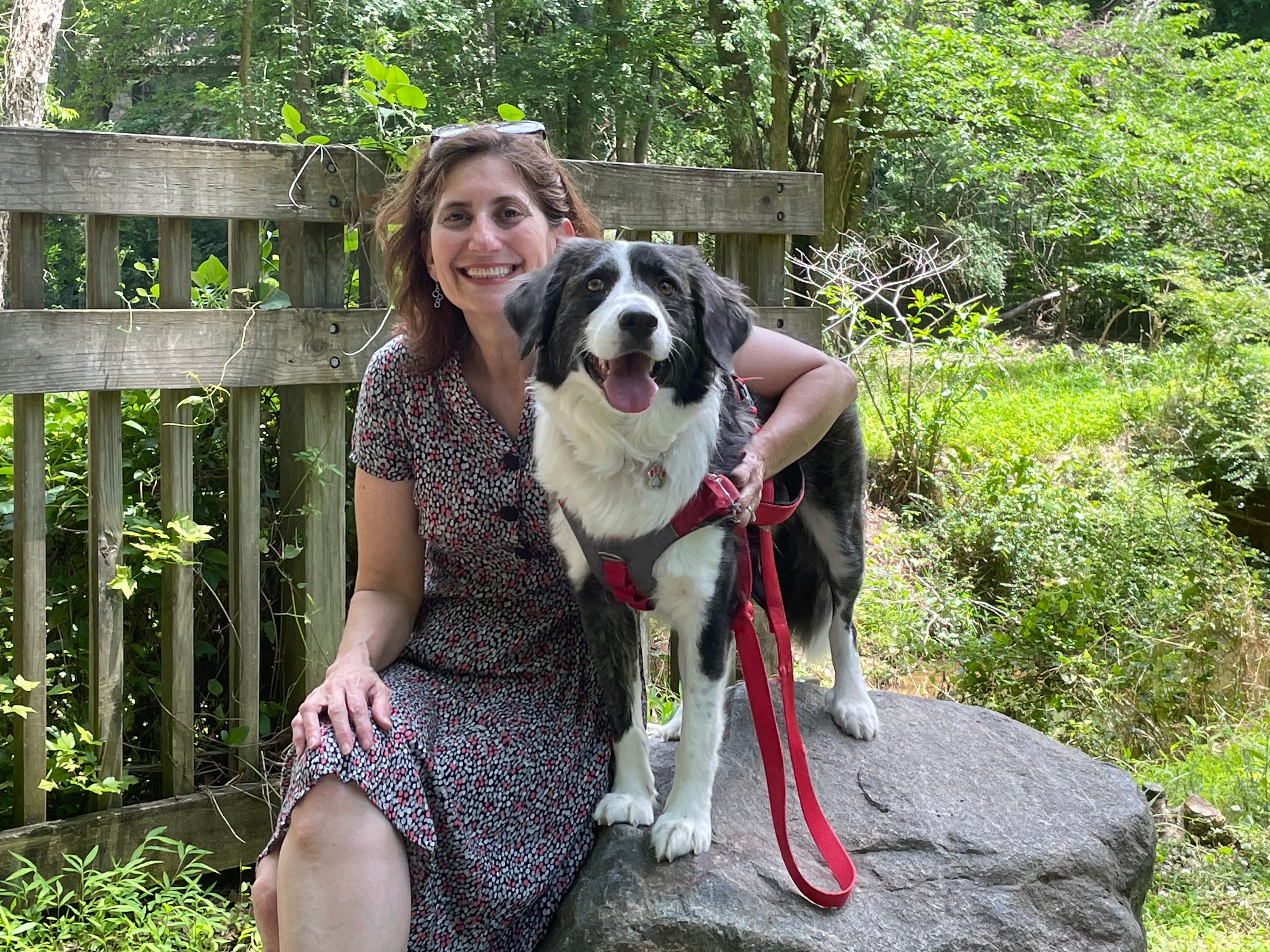 Karen Stegman | Substack