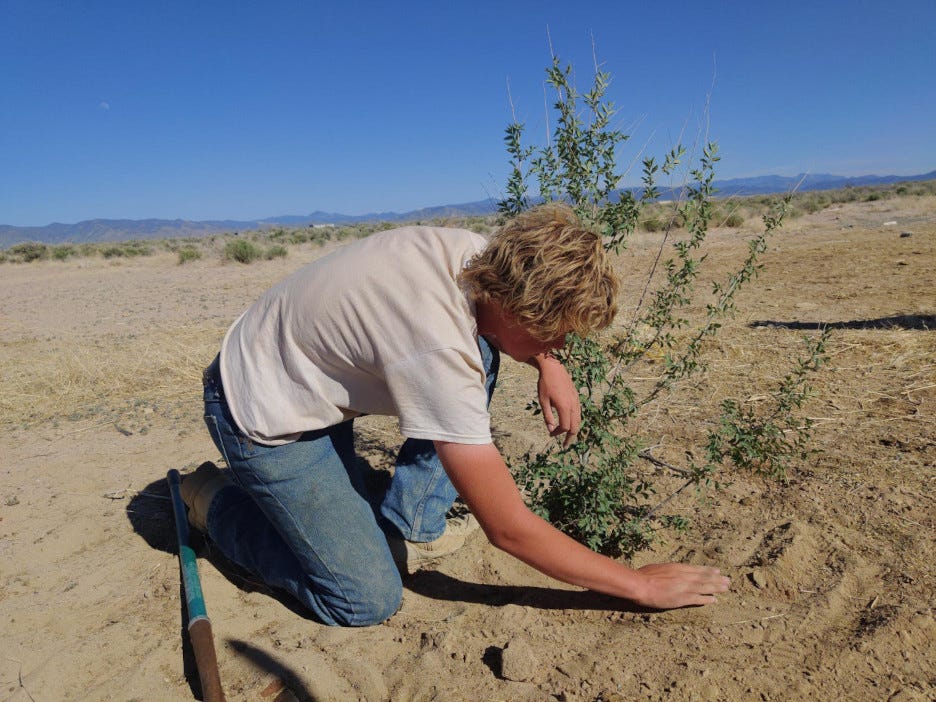 There Are Still Pioneers in America. Cole Summers Was One.
