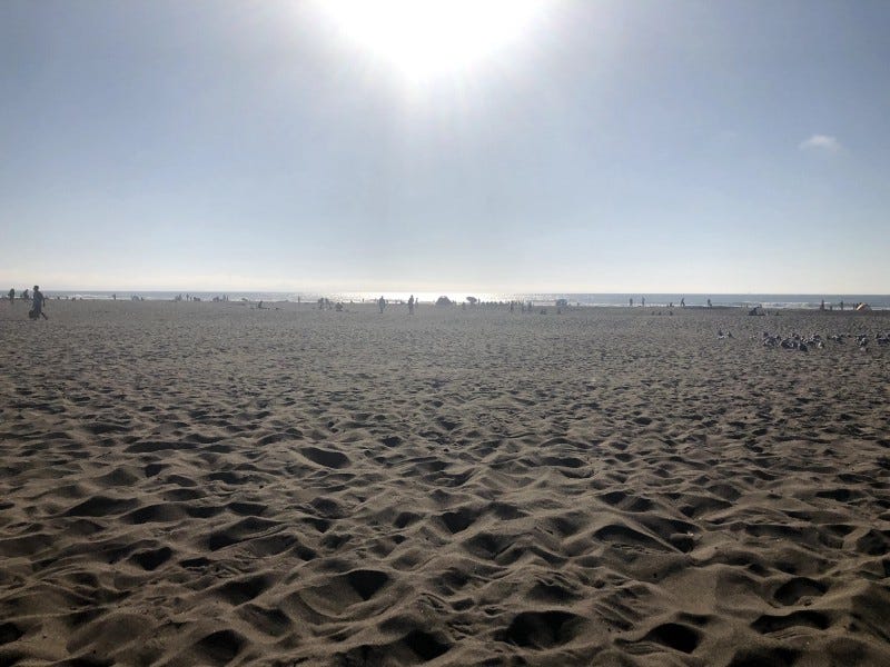 5 metaskills aka superpowers 🌿