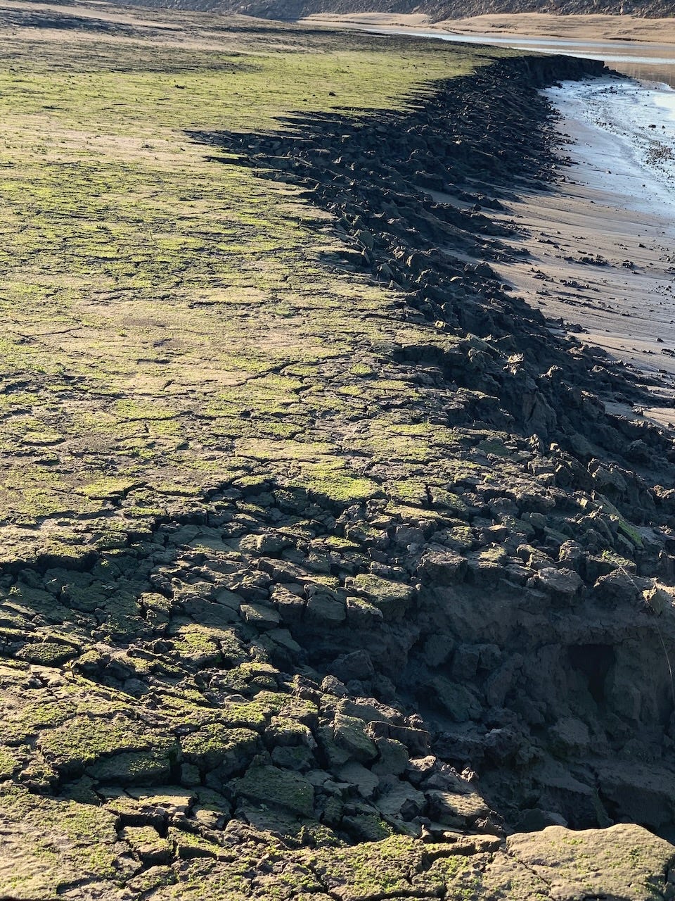 Bald Eagles & Benzene - by John Ruskey