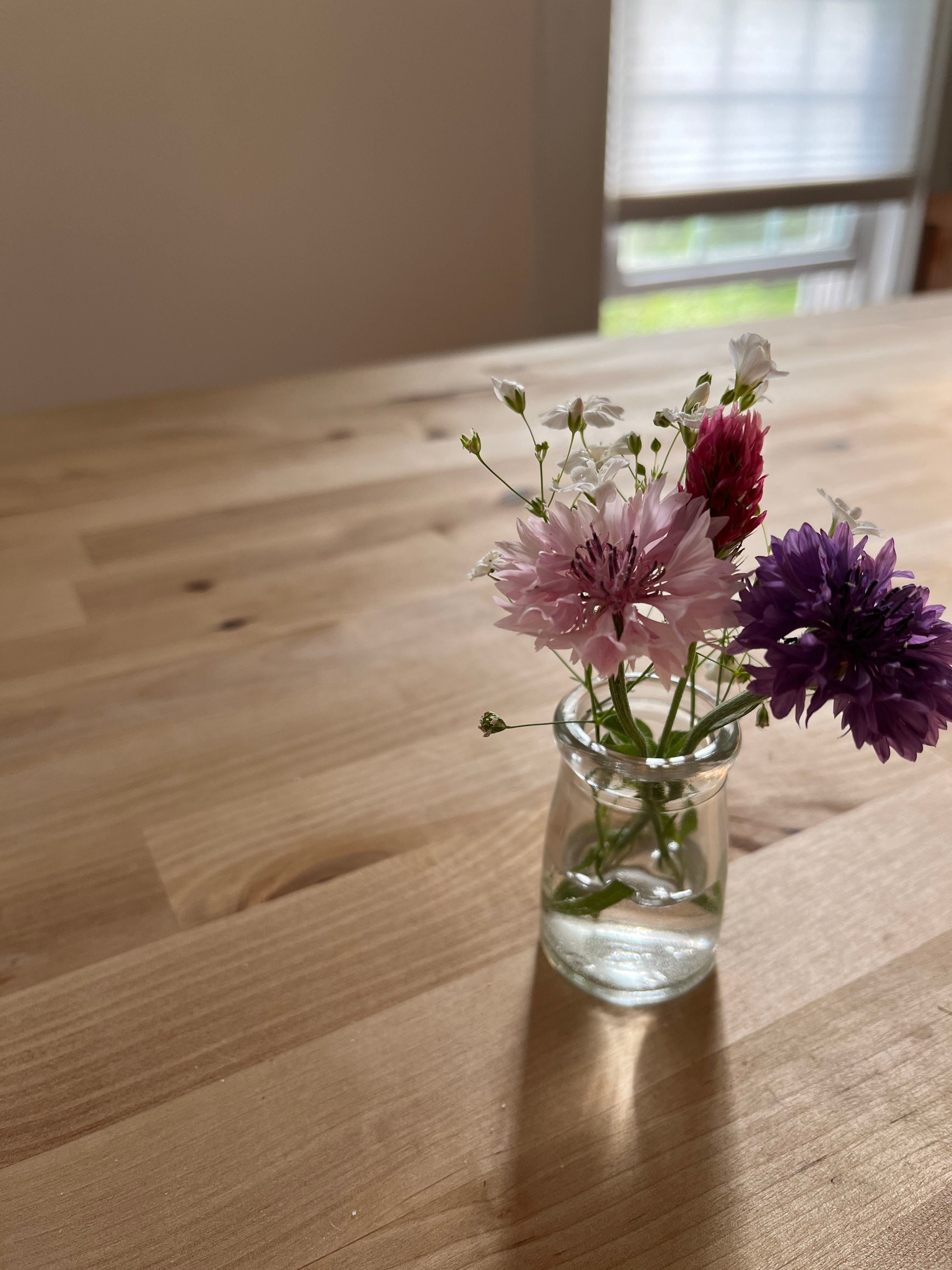 I quit willpower - by Nic Antoinette - Wild Letters